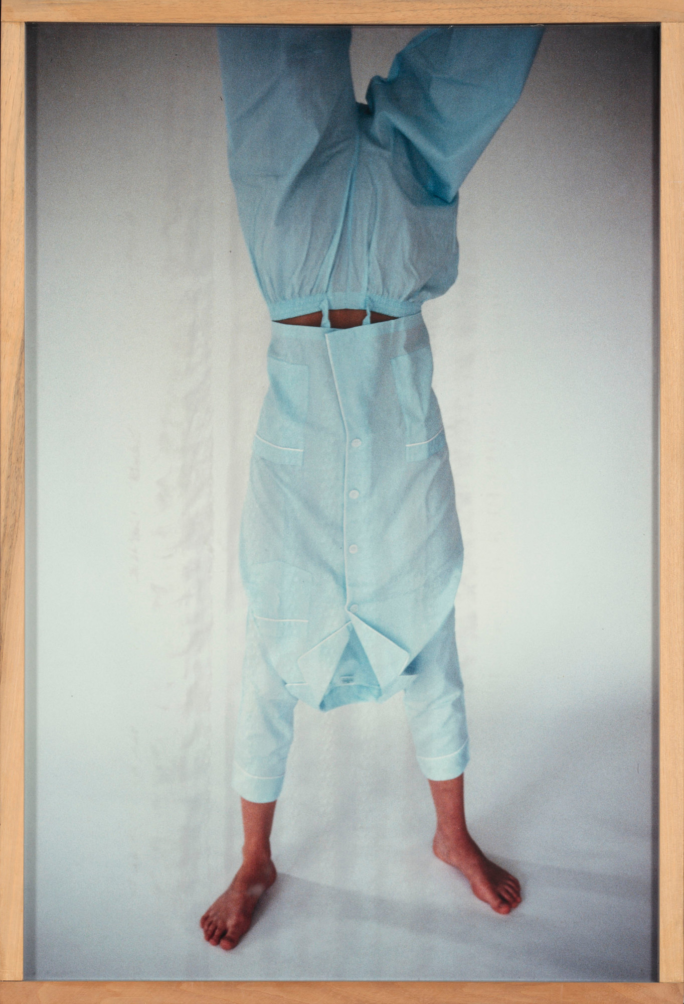 Wurm Erwin/ohne Titel (aus der Serie Palmers), Bild 2- GALERIE KAIBLINGER